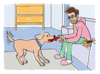 Fetch Masterclass: Teach Your Dog to Play & Retrieve Like a Pro